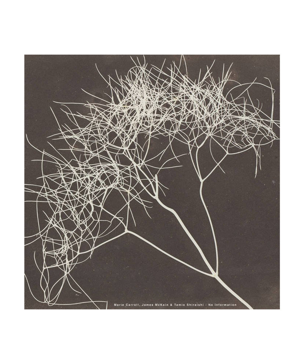 Marie Carroll, James McKain, & Tamio Shiraishi - No Information – Buddy ...